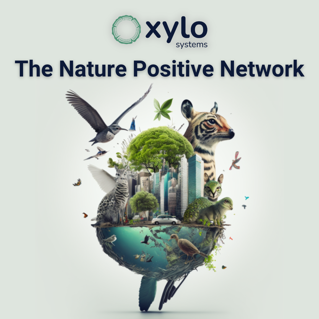 Ep 6 Lauren Branson, Calyx.Eco